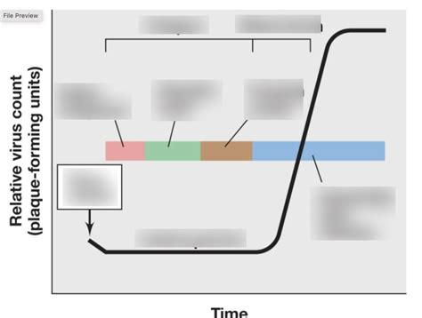 Lecture 19 Diagram Quizlet
