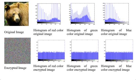 A Histogram Of Bear Image Before And After Encryption Download