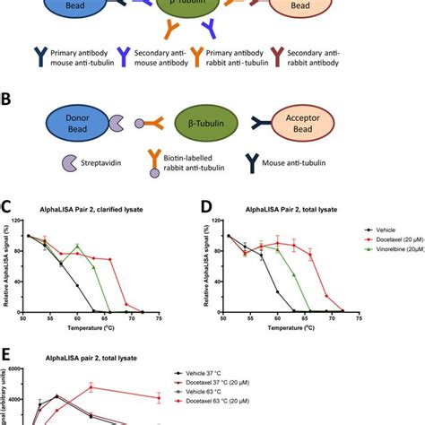 Pdf Cetsa Based Target Engagement Of Taxanes As Biomarkers For