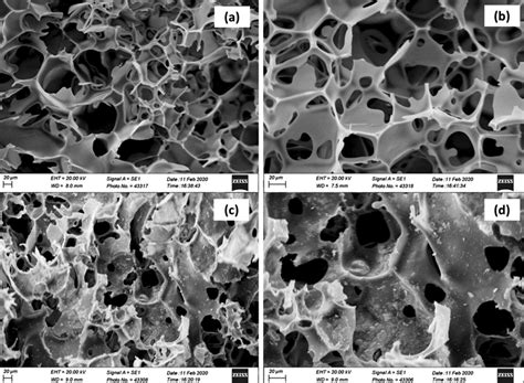 sem micrographs of the control a b and functionalized c d matrixes