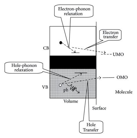 The Scheme Of The Processes That Occur After The Excitation Of The Download Scientific Diagram