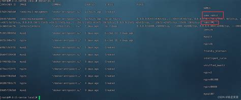 Rabbitmq六 延迟消息队列rabbitmq 延迟队列 时间参数单位 Csdn博客