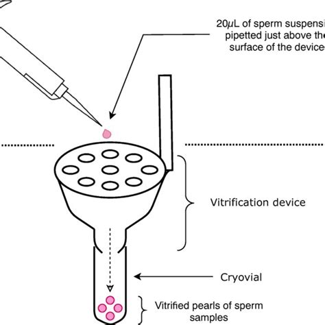Diagram And Photo Of The Vitrification Device And The Vitrification