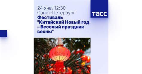 Фестиваль Китайский Новый год Веселый праздник весны Пресс центр ТАСС