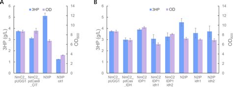 Limited Flux Of TCA Cycle Impaired Cell Growth And HP Production Download Scientific Diagram