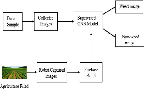 table 3 from efficient weed detection using cnn with an autonomous