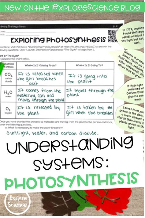cellular respiration inputs and outputs chart