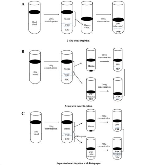 Summary Of The Methods For Platelet Rich Plasma Preparation A 2 Step Download Scientific