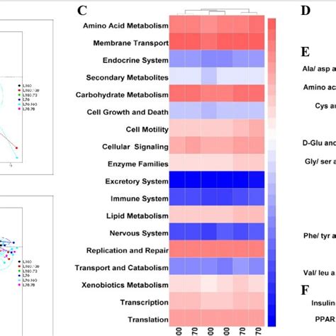 Predictive Functional Profiling Of Microbial Communities By Picrust