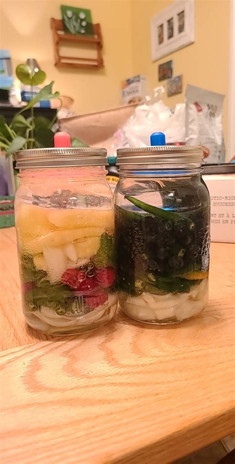 My First Fermentation Started Rfermentation