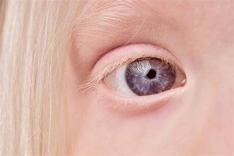 12 Incredible Facts About The Color Purple You Didnt Know Color Meanings