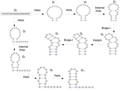 Two Different Derivations Of Rna Secondary Structures Starting From A