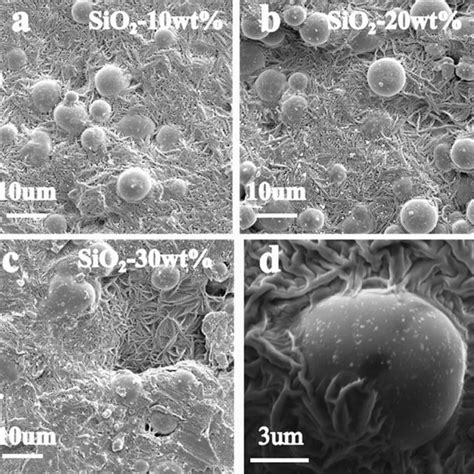 A C Sem Image Of Printed Ptfe Sio2 Composites With 10 30 Wt Sio2 Download Scientific Diagram