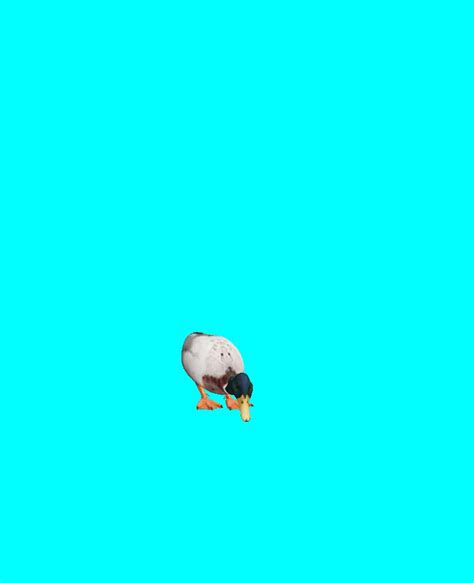 Animation Glb Free 3d Models Download And Share Glb Gltf Fbx And Stl Files