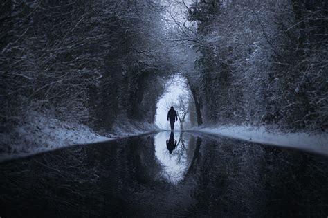 배경 화면 햇빛 단색화 물 반사 눈 겨울 목재 얼음 거울 정경 터널 동결 나무 날씨 남자 어둠
