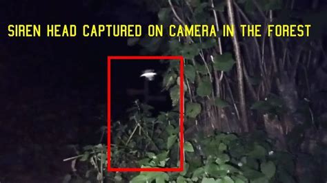 Real Siren Head Caught On Camera In Forest 2021 Siren Headed Forest