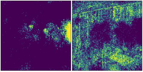 Deep Learning Final Project Classifier To Segmentation