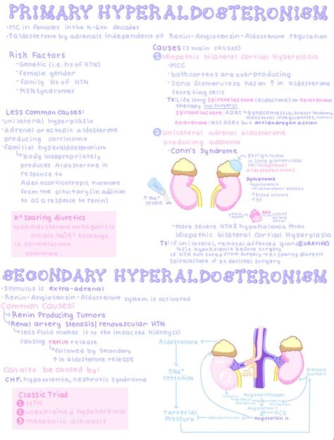 Hyperaldosteronism Notes Artofit