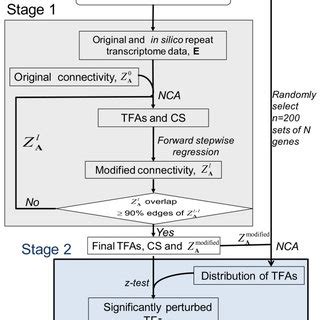 A Schematic Overview Of The Method The Tfa Perturbations Are Estimated