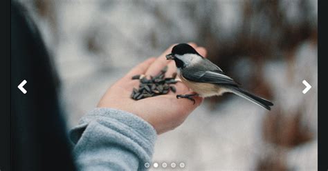 18 CSS Slider Examples Code