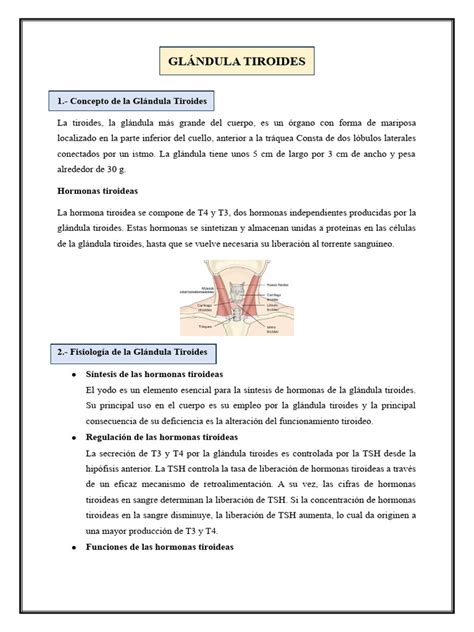 Hipotiroidismo Descargar Gratis Pdf Tiroides Hormona Estimulante