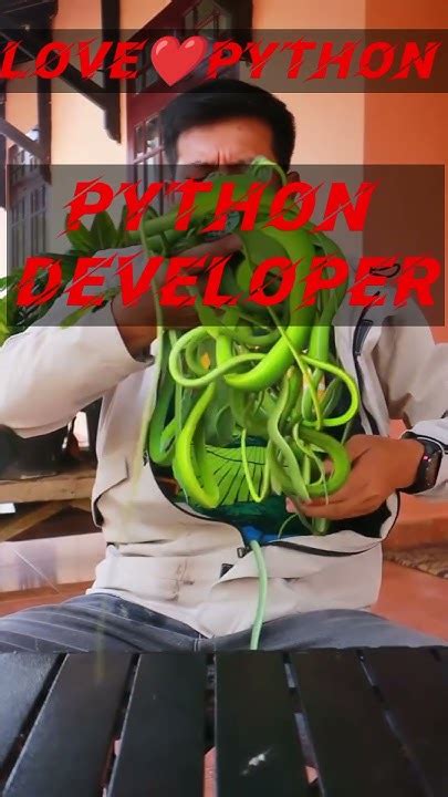 Python🐍 Developer Can Relate Py Coding Youtube