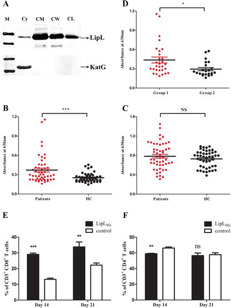 Subcellular Localization The Humoral And Cell Mediated Immune Download Scientific Diagram