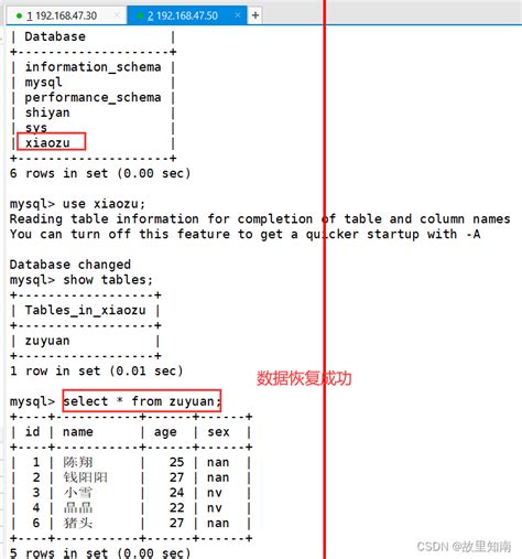 Mysql备份和恢复mysqlbackup Csdn博客