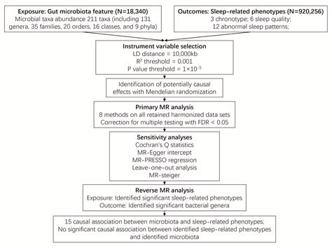 Clocks And Sleep Free Full Text Causal Effects Of Gut Microbiota On