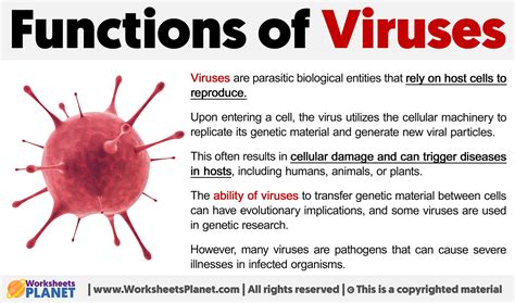 Virus Worksheets Pathways To Scale Up Hepatitis C Virus Elimination