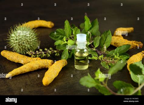 Holy Basil Turmeric Datura Fruit With Herbal Oil And Wooden Mortar On