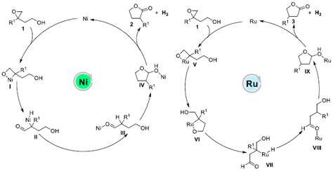 Metal Catalyst Controlled Divergent Synthesis Of γ Butyrolactones Via Intramolecular Coupling Of