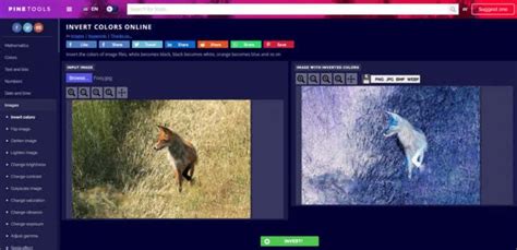 How To Invert The Colors On A Picture And Why You Might Want To