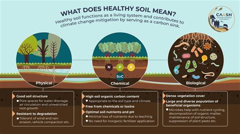 Soil Un Biodiversity