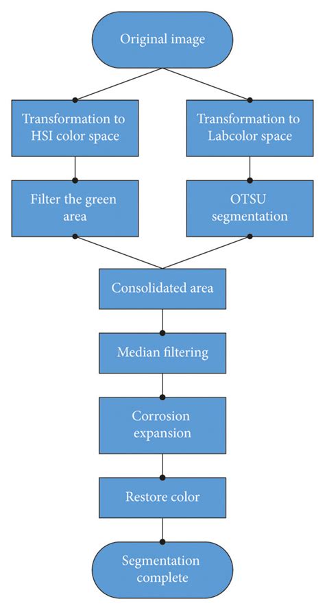 Flow Chart Of Disease Spot Image Segmentation Algorithm Download