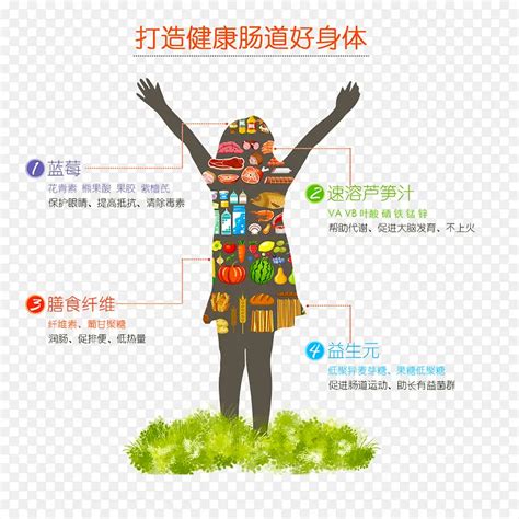 人体健康饮食金字塔PNG图片素材下载 图片编号ybapxldz 免抠素材网