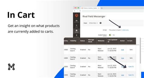 Magenizr On Linkedin Magenizr In Cart