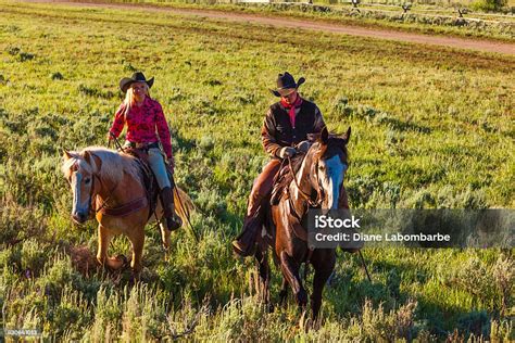 여자 카우보이 및 카우보이 탑승형 노력했지만 말이었습니다 Ranc 대한 20 29세에 대한 스톡 사진 및 기타 이미지 20 29세 2015년 가축 Istock