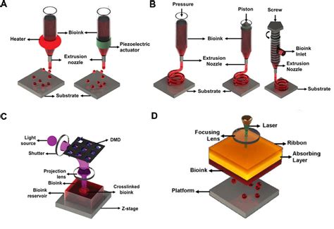 Figure 1 From Recent Advances In Decellularized Extracellular Matrix Based Bioinks For 3d
