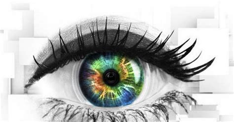 Celebrity Big Brother Babe Announces Shock Pregnancy Daily Star