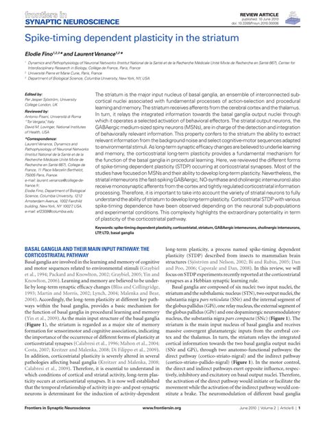 Pdf Spike Timing Dependent Plasticity In The Striatum