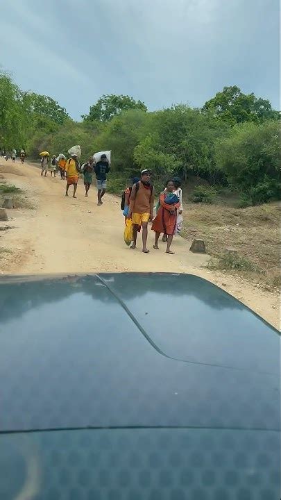 මහ වන මැදින් පාද යාත්‍රා කතරගමට 🙏 Youtube