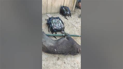 Tiger 🐯 Mouthကျားပါးစပ်ကြီးစခန်း နတ်တောင် သို့ ကရင်နီတပ်မတော်သားများတက်ရောက်တပ်စွဲfight For