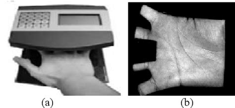 Figure 1 From Palmprint Verification Using Complex Wavelet Transform Semantic Scholar