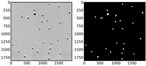 Particle Analysis Tutorial — Simplipytem 1 0 8 Documentation