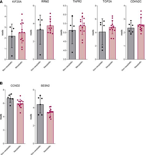 Bar502 Modulated Genes Generally Regulated Aberrantly In Pdac Rna Seq