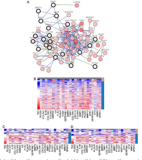 Figure 2 From Screening And Identification Of Potential Target Genes In Head And Neck Cancer