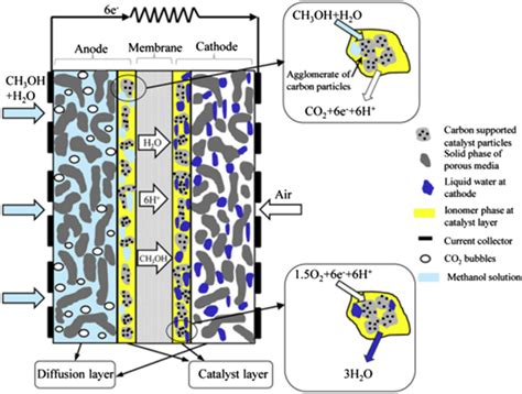 Schematic Of A Dmfc During Normal Operation Reproduced With