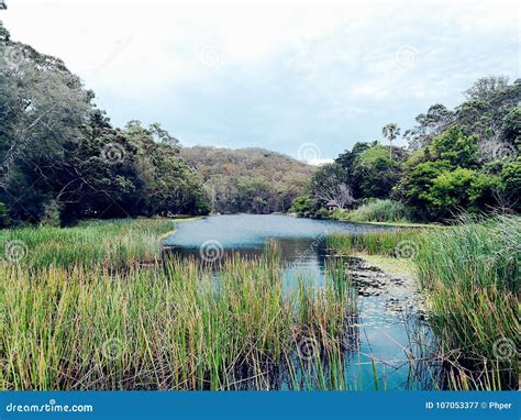 Hacking River Royal National Park Sydney Stock Image Image Of Inlet Sydney 107053377