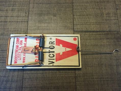 How To Set A Rat Trap Safely And Effectively